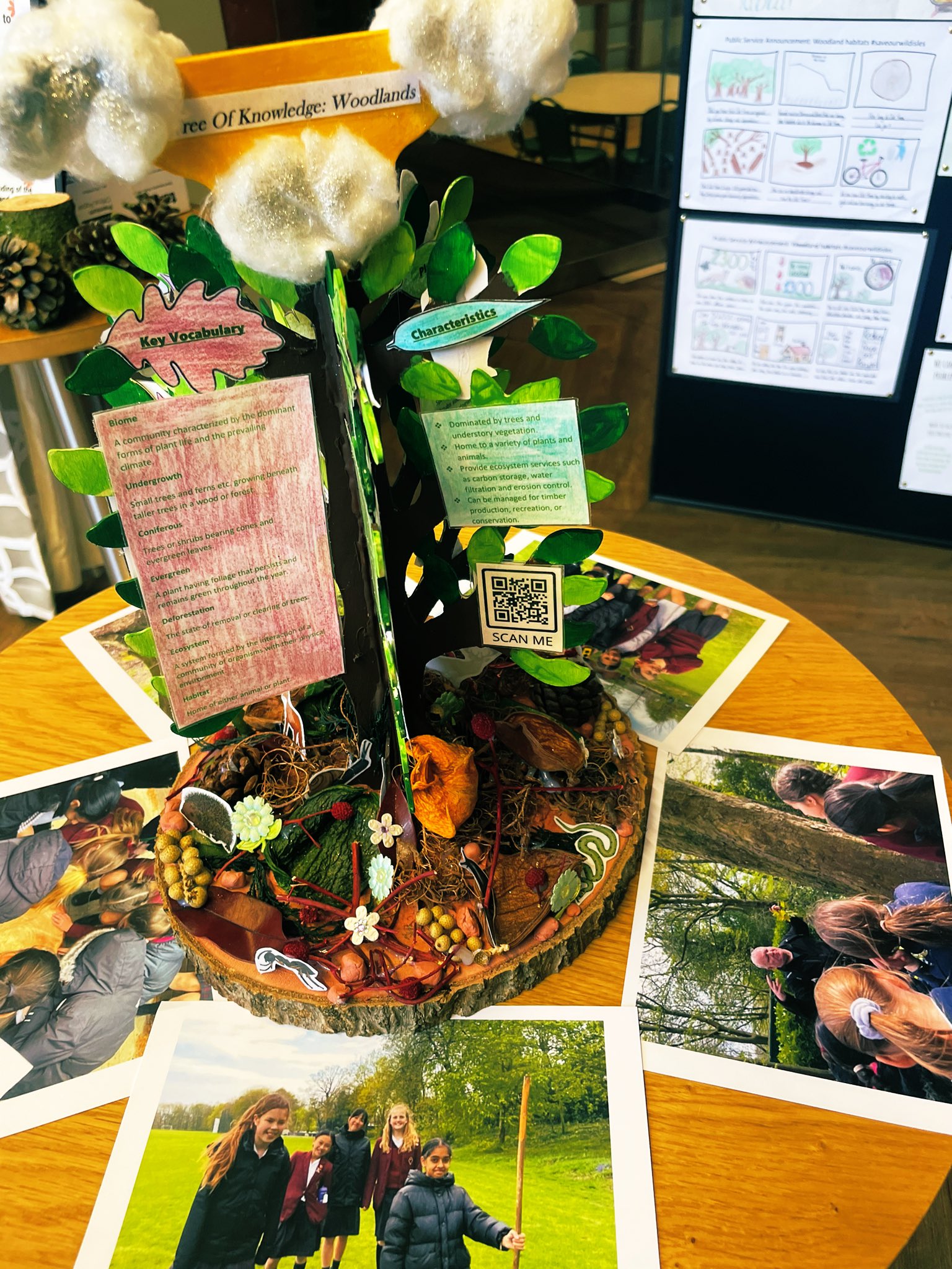 Creative thinking in education – FRANKIE LOWE